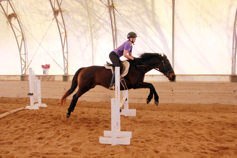 Learning to build a stable bond - The Queen's Journal