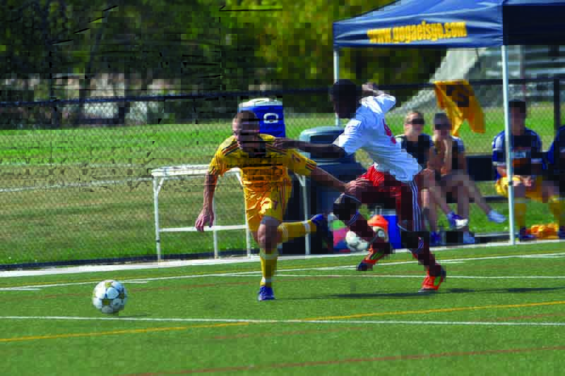 Gaels net first win - The Queen's Journal