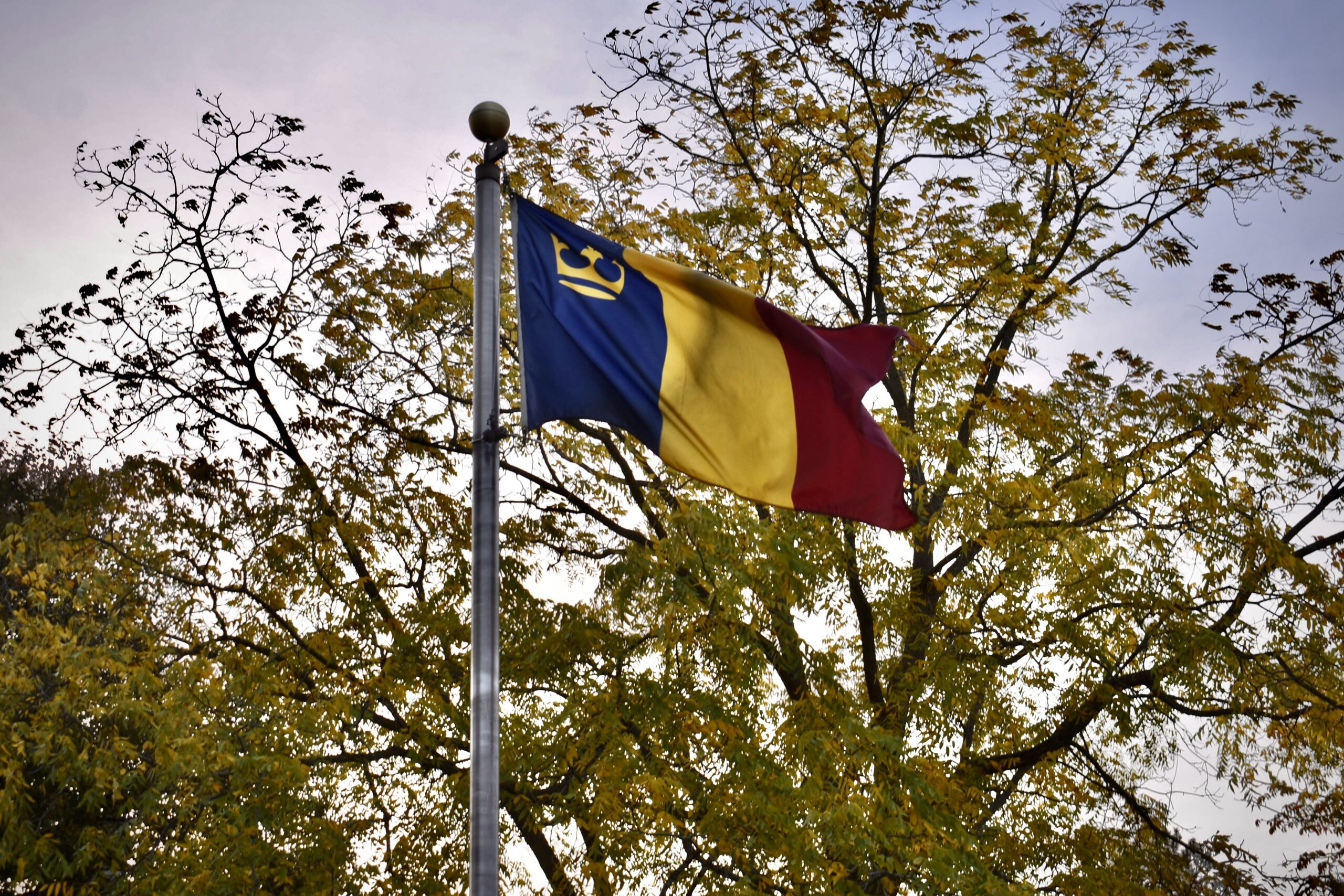 Sustainability takes centre stage as Queen’s partakes in Circular Economy Month - The Queen's ...